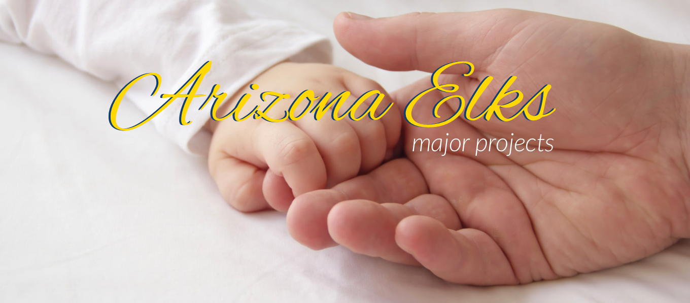 About Arizona Elks Major Projects, the impact we make in Arizona