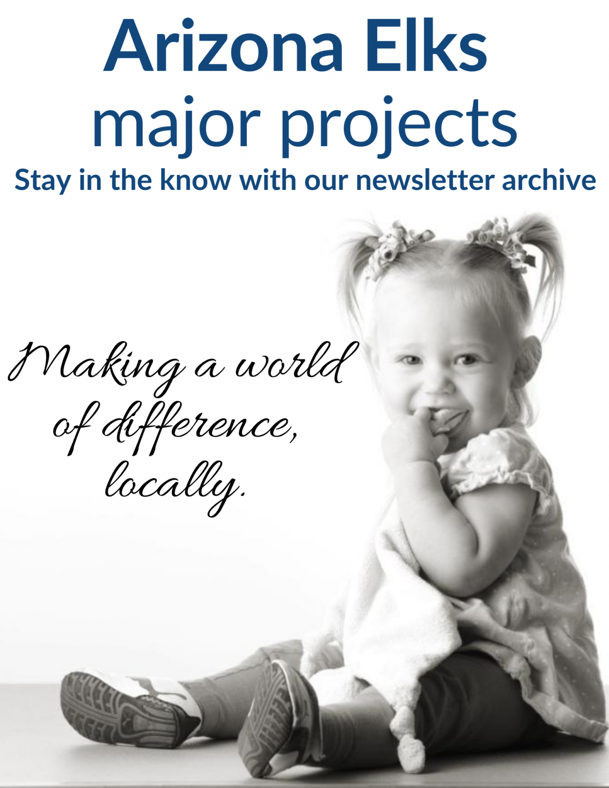Arizona Elks Major Projects | Making a World of Difference, locally.
